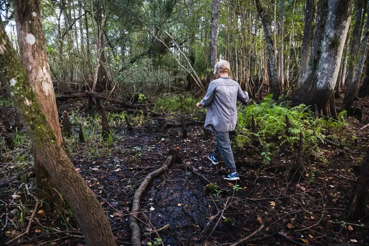 After development scare, the future of USF’s forest preserve looks ...